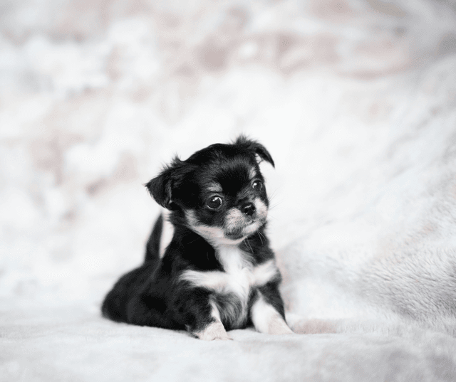 Navigating Rental Increases in 2025: A State-by-State Guide for ...