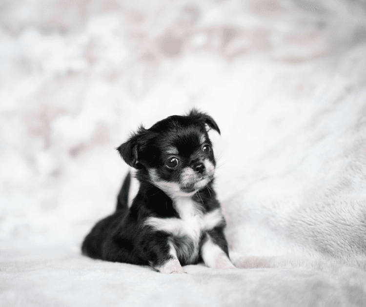 Navigating Rental Increases in 2025: A State-by-State Guide for ...